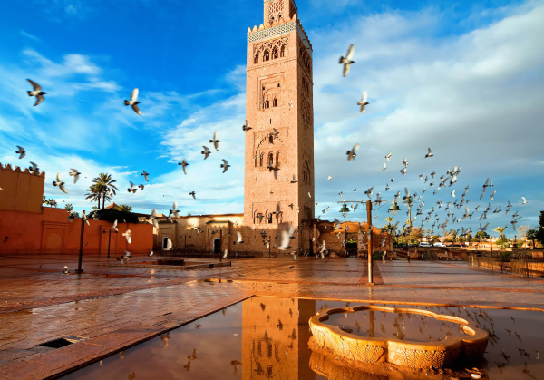 Best Time to Visit Marrakech: Perfect Seasons Explained